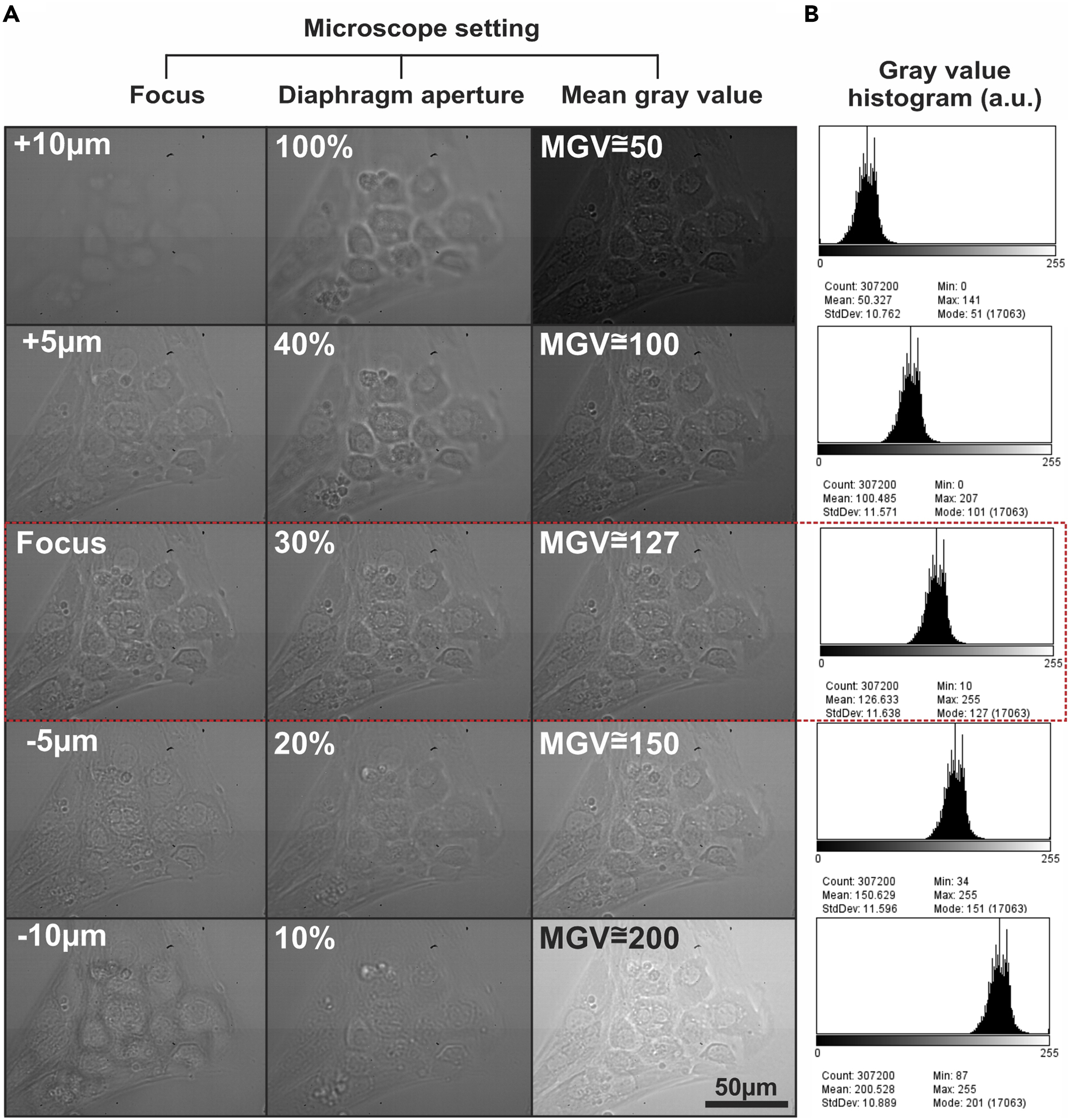 Cell Press: STAR Protocols