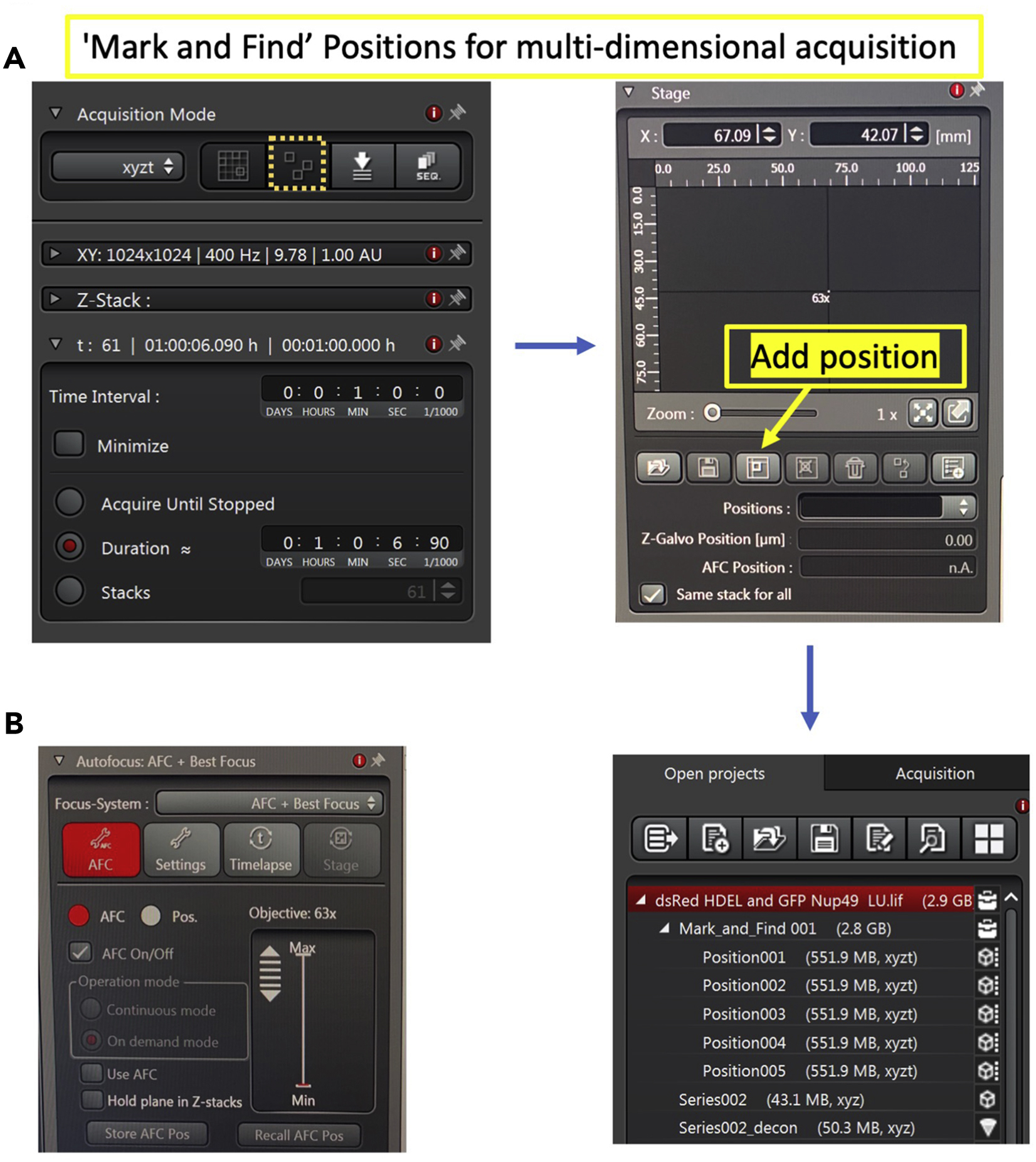 Cell Press: STAR Protocols