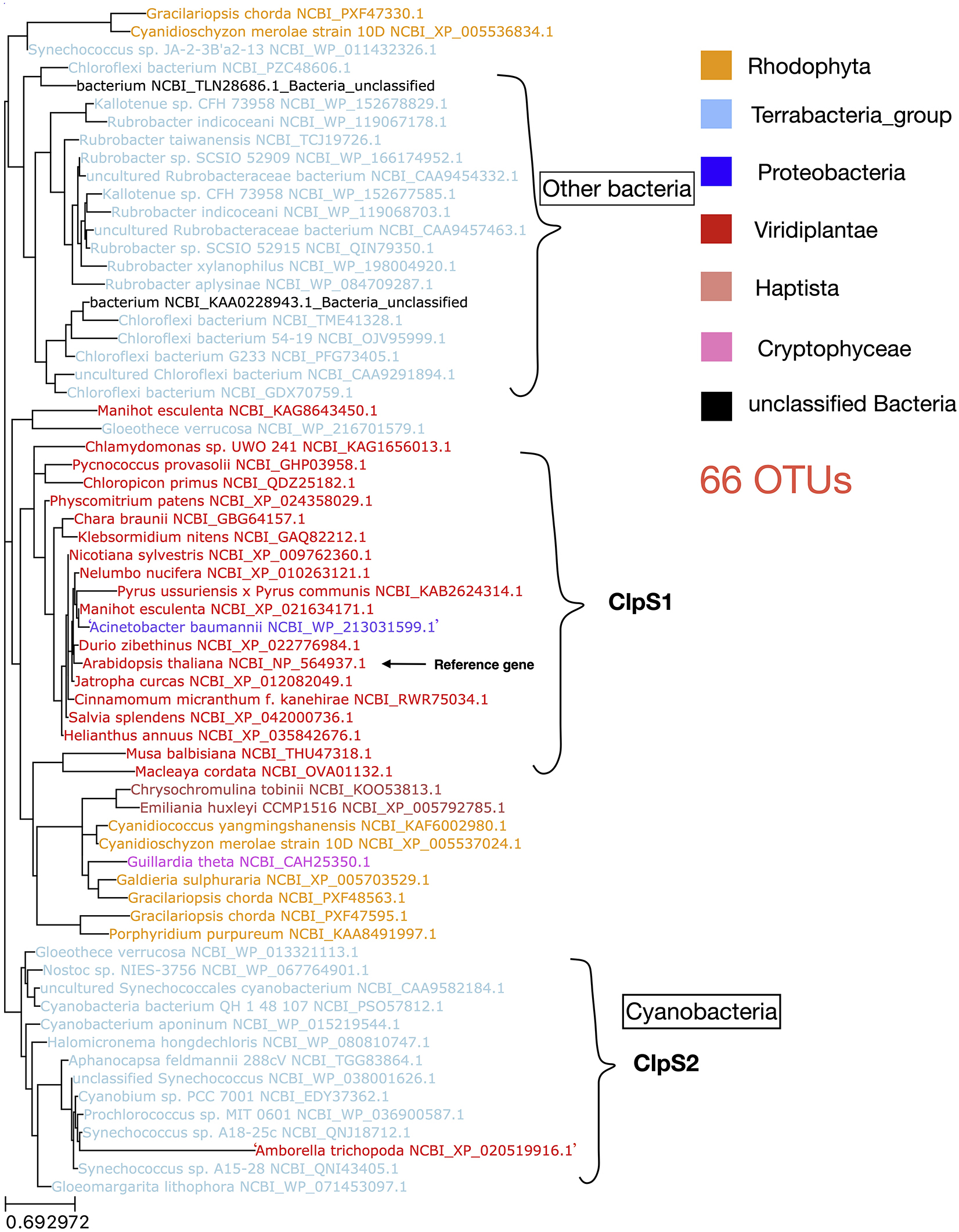 Cell Press: STAR Protocols