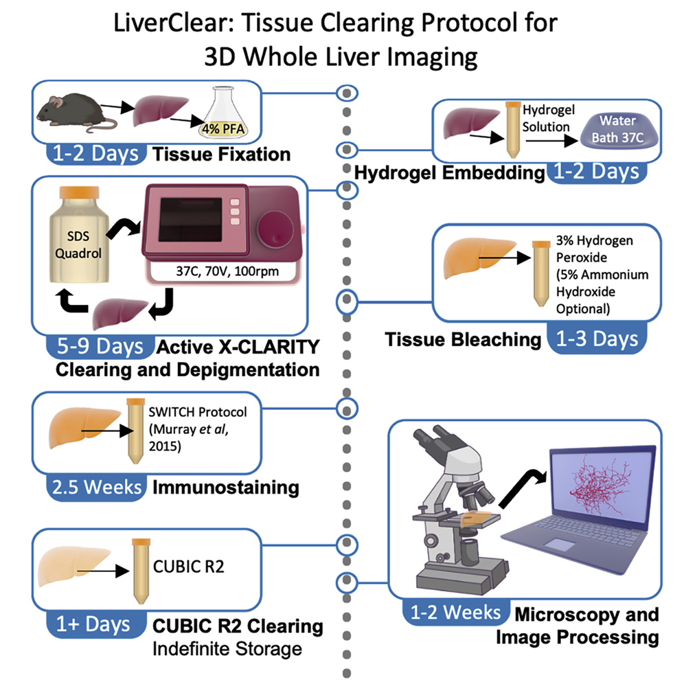 Cell Press: STAR Protocols
