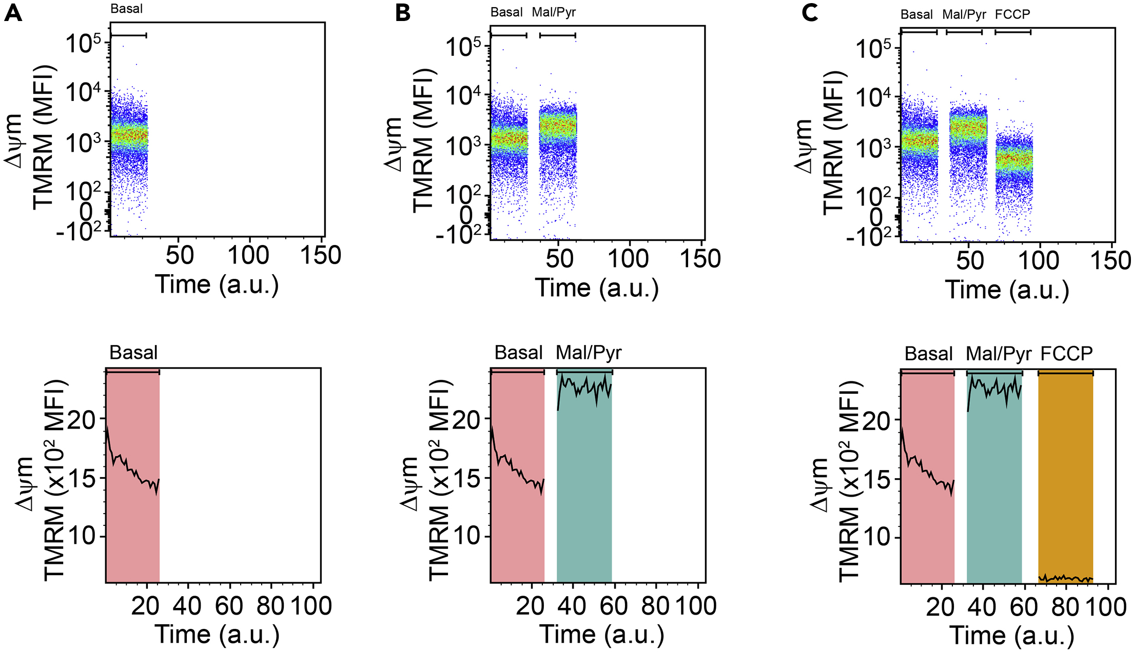 Cell Press: STAR Protocols