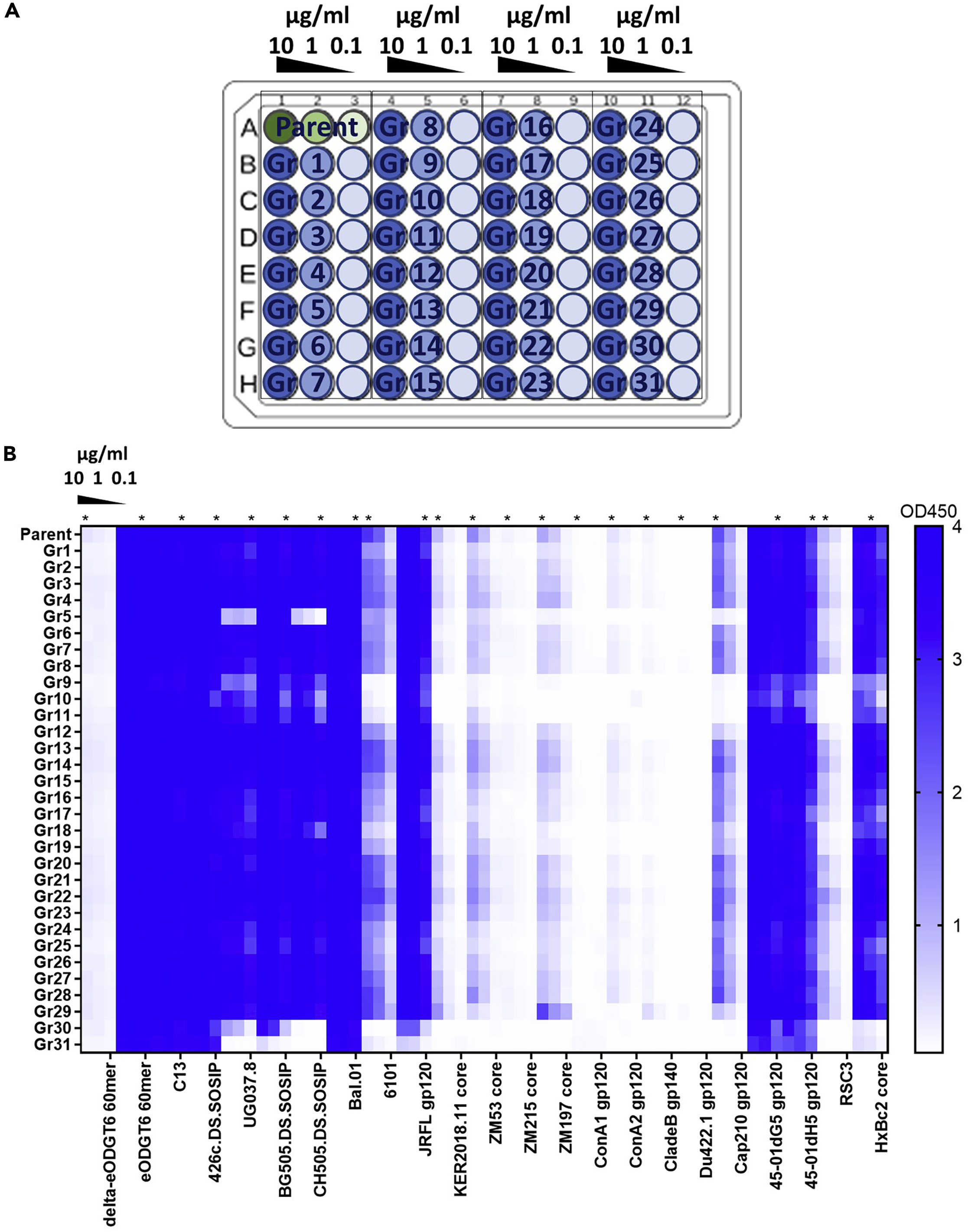 Cell Press: STAR Protocols