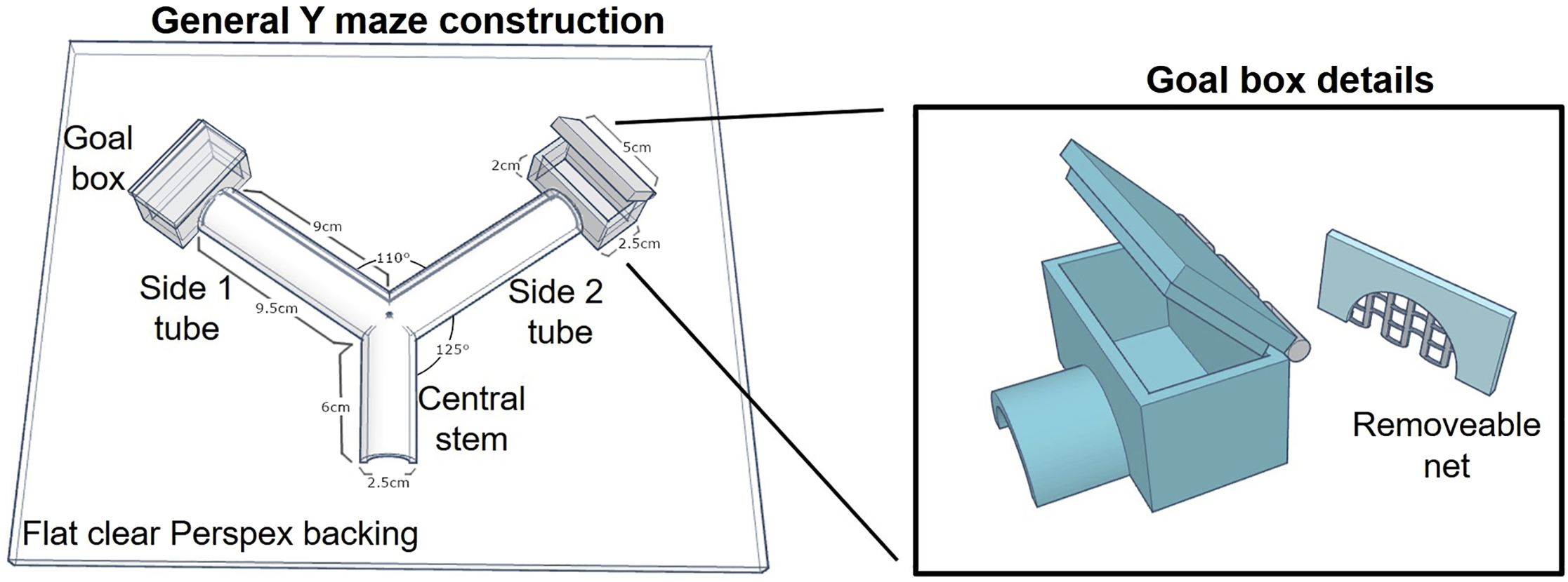 Cell Press: STAR Protocols