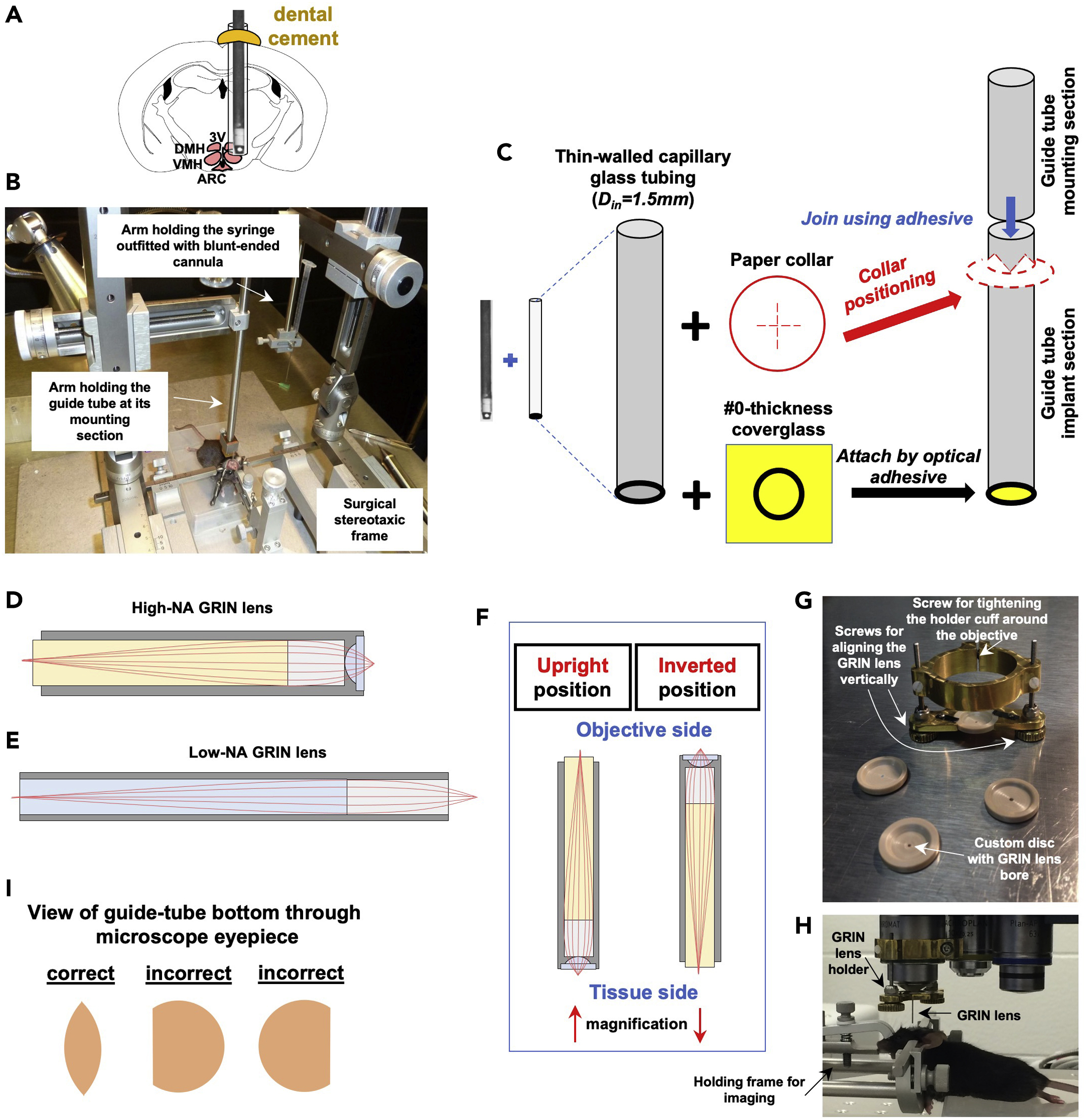 Cell Press: STAR Protocols