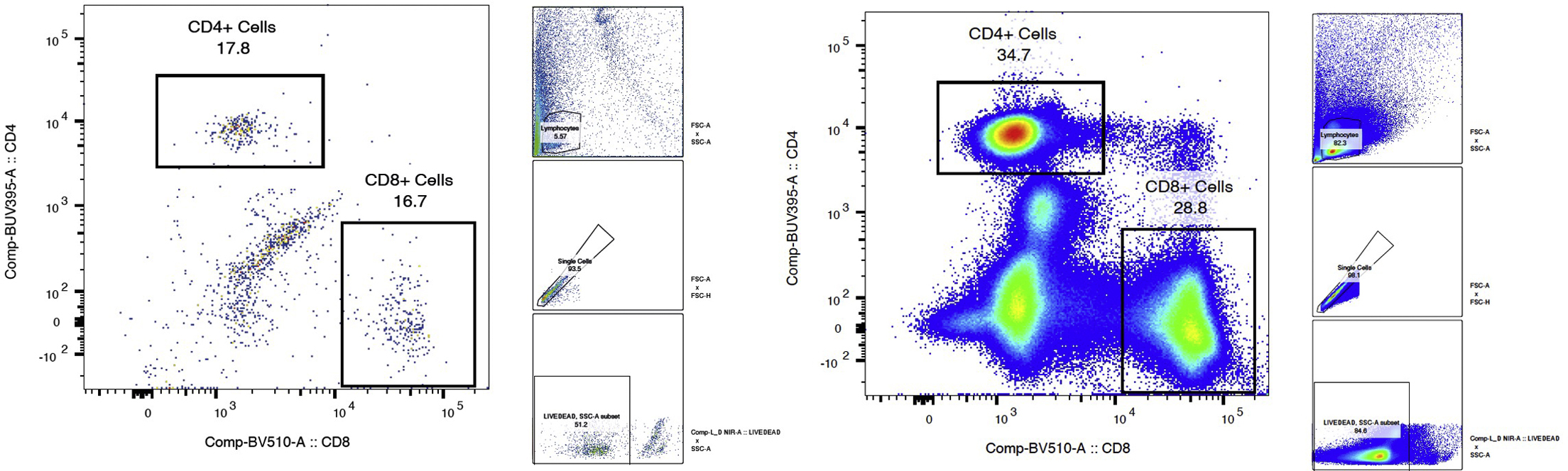 Cell Press: STAR Protocols