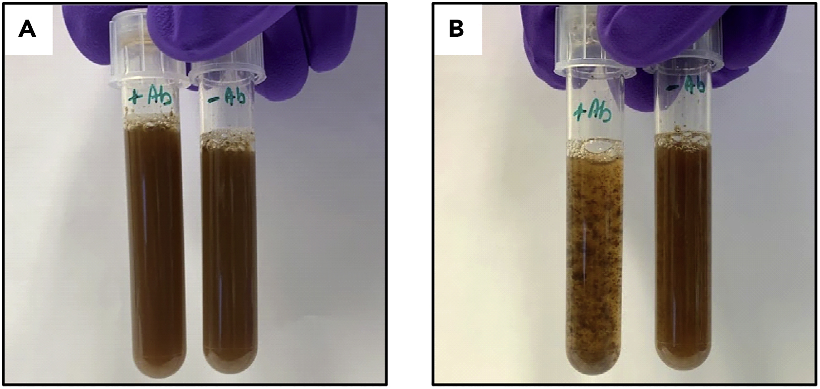 Cell Press: STAR Protocols