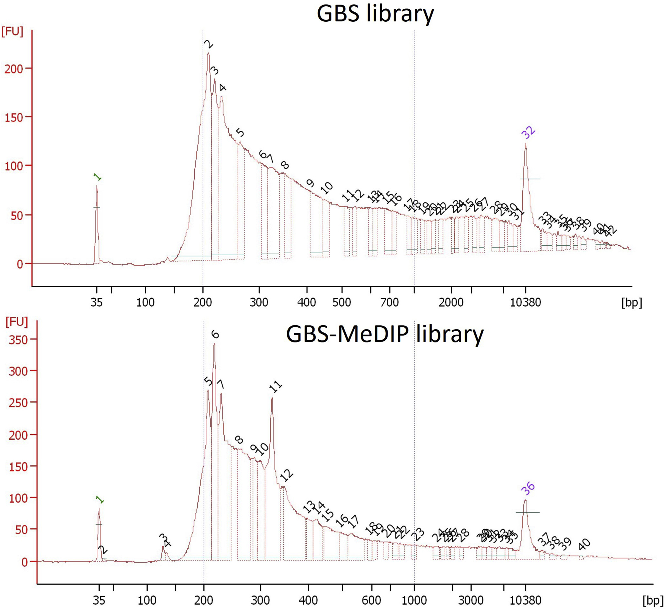 Cell Press: STAR Protocols