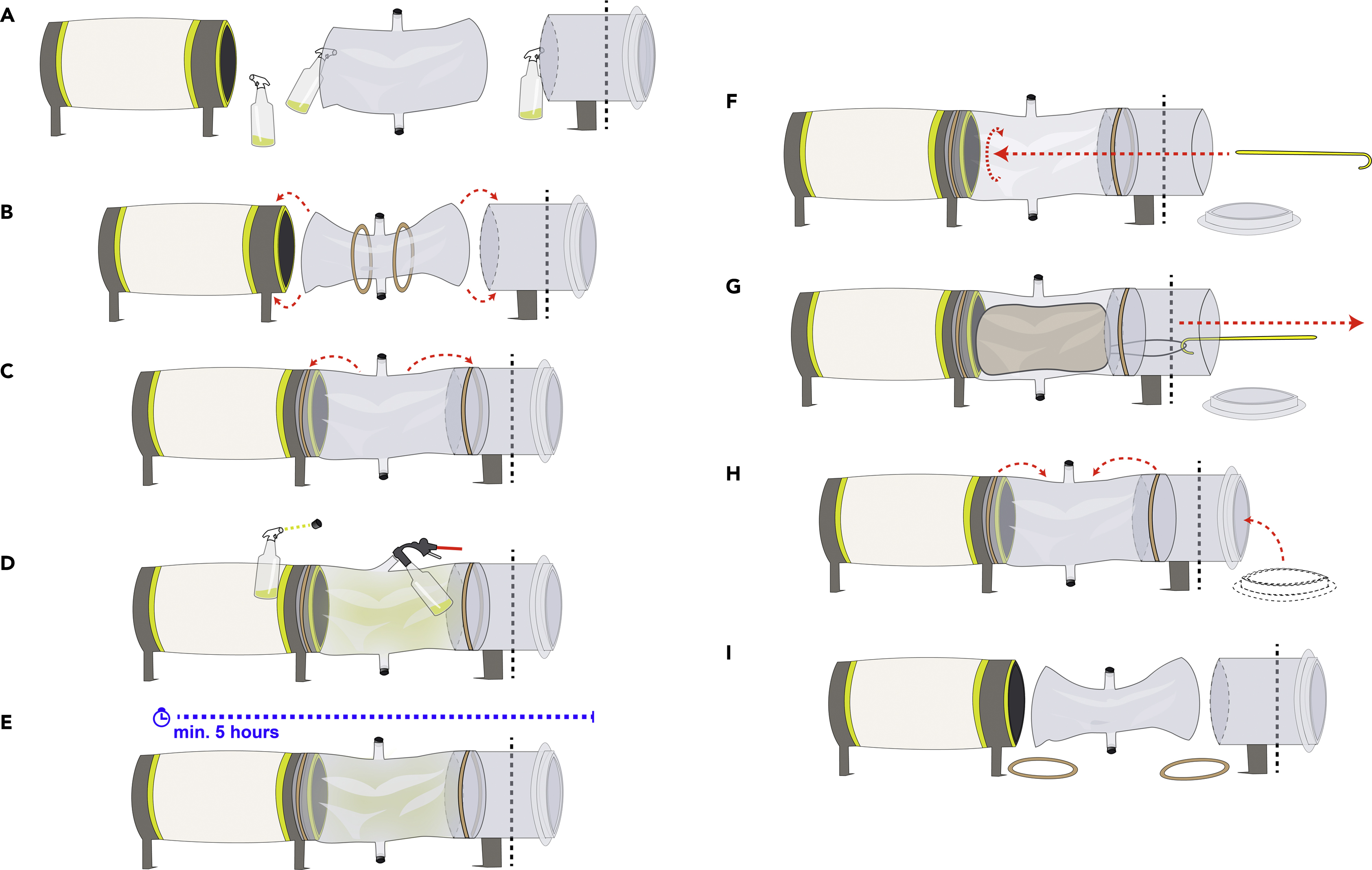 Cell Press: STAR Protocols