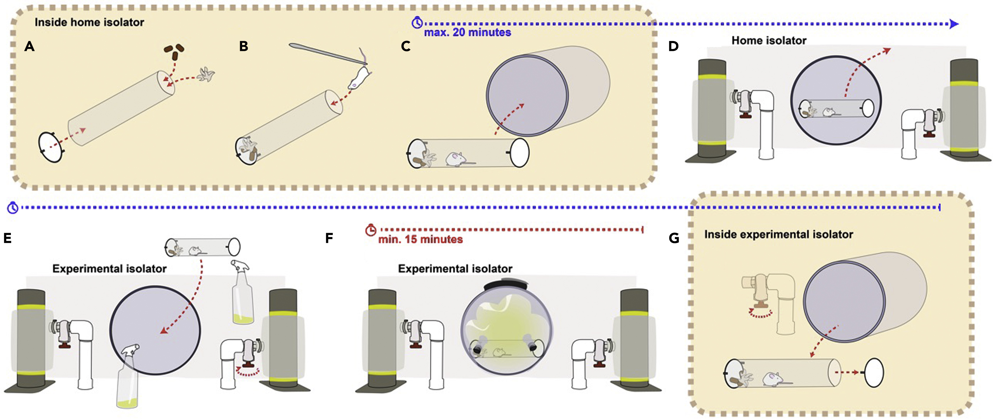 Cell Press: STAR Protocols