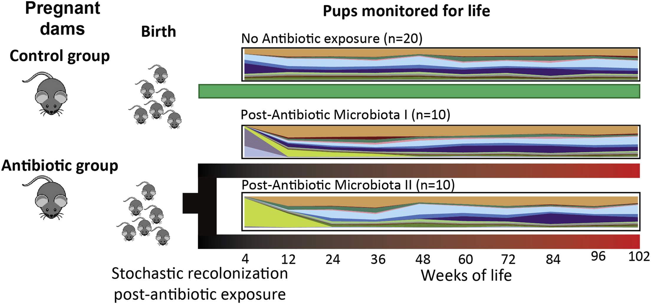 Cell Press: STAR Protocols