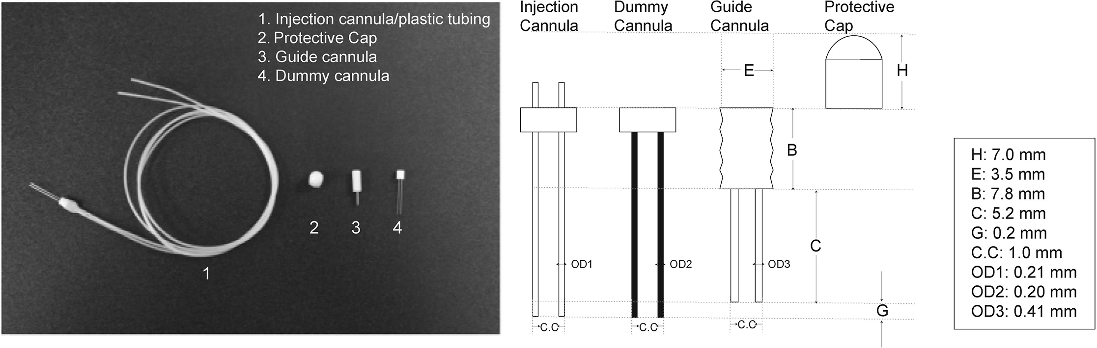 Cell Press: STAR Protocols
