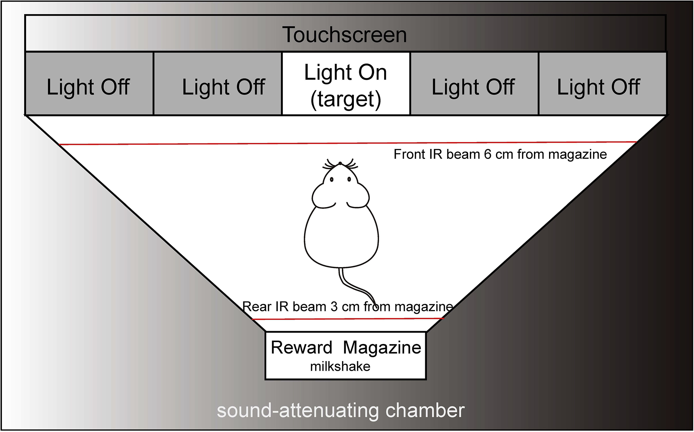 Cell Press: STAR Protocols