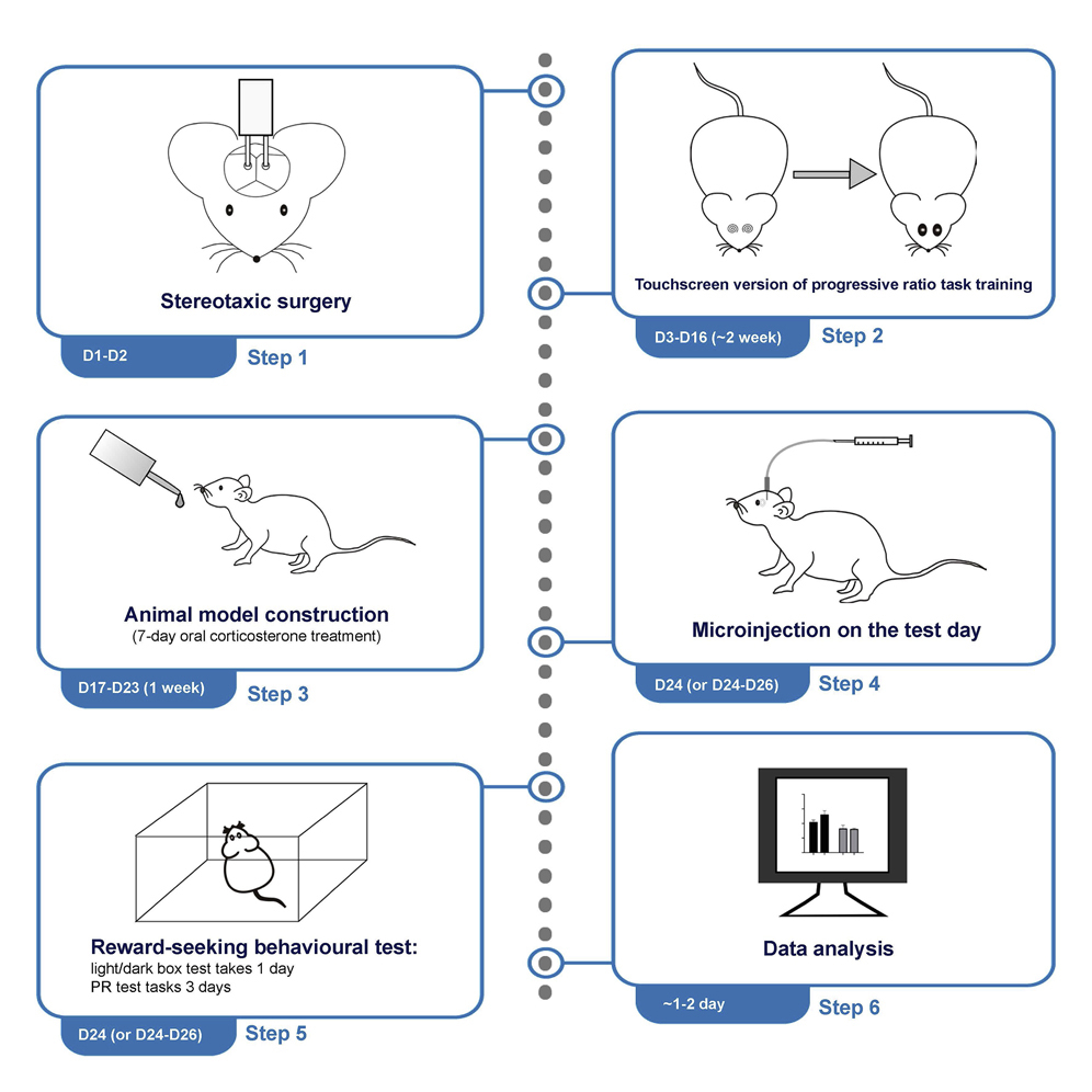 Cell Press: STAR Protocols