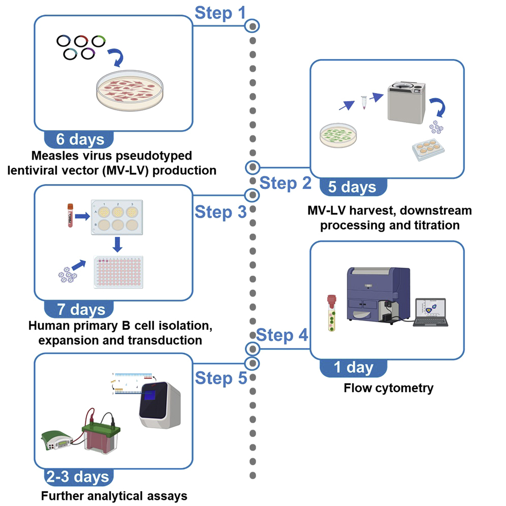 Cell Press: STAR Protocols