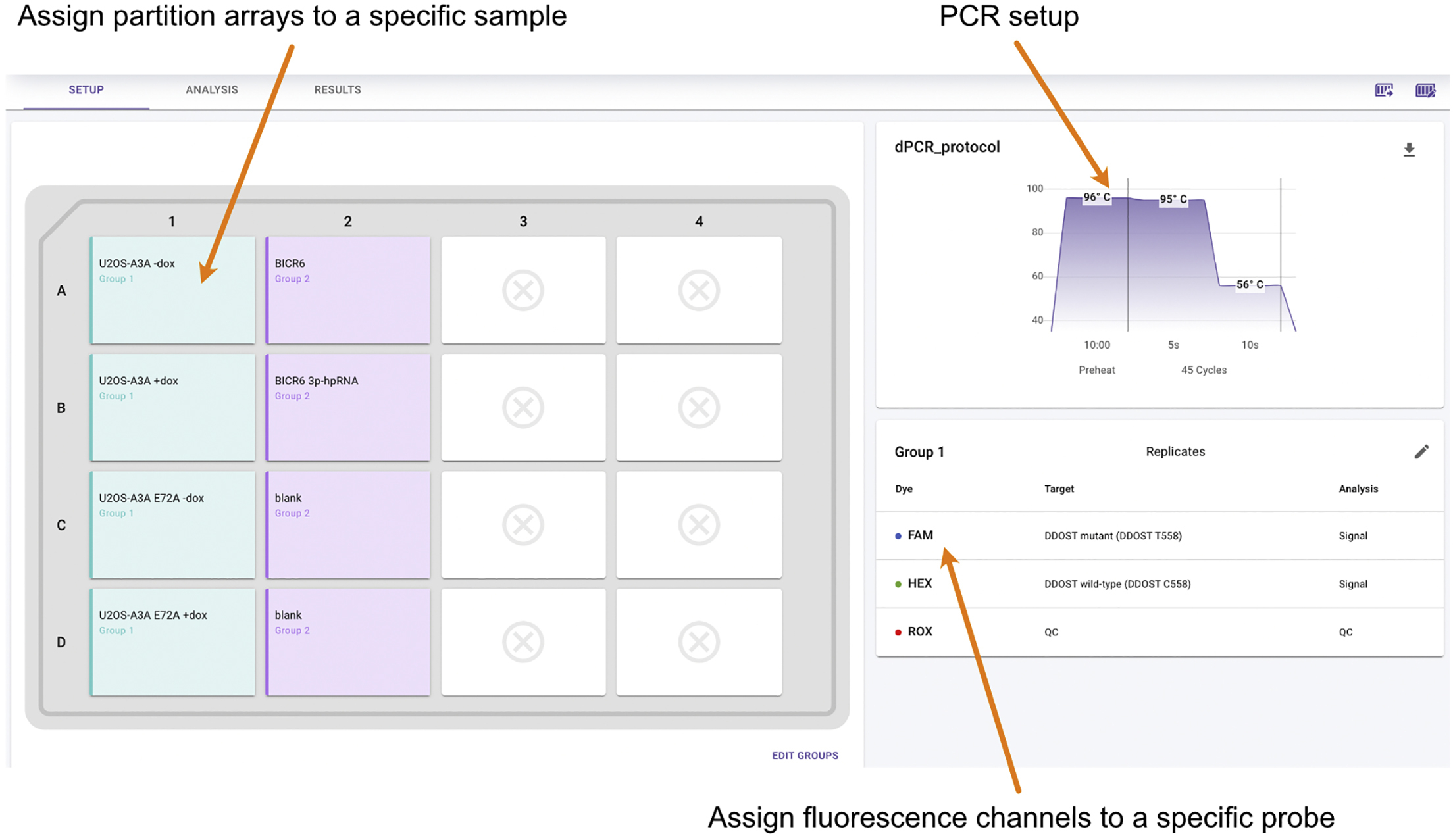 Cell Press: STAR Protocols