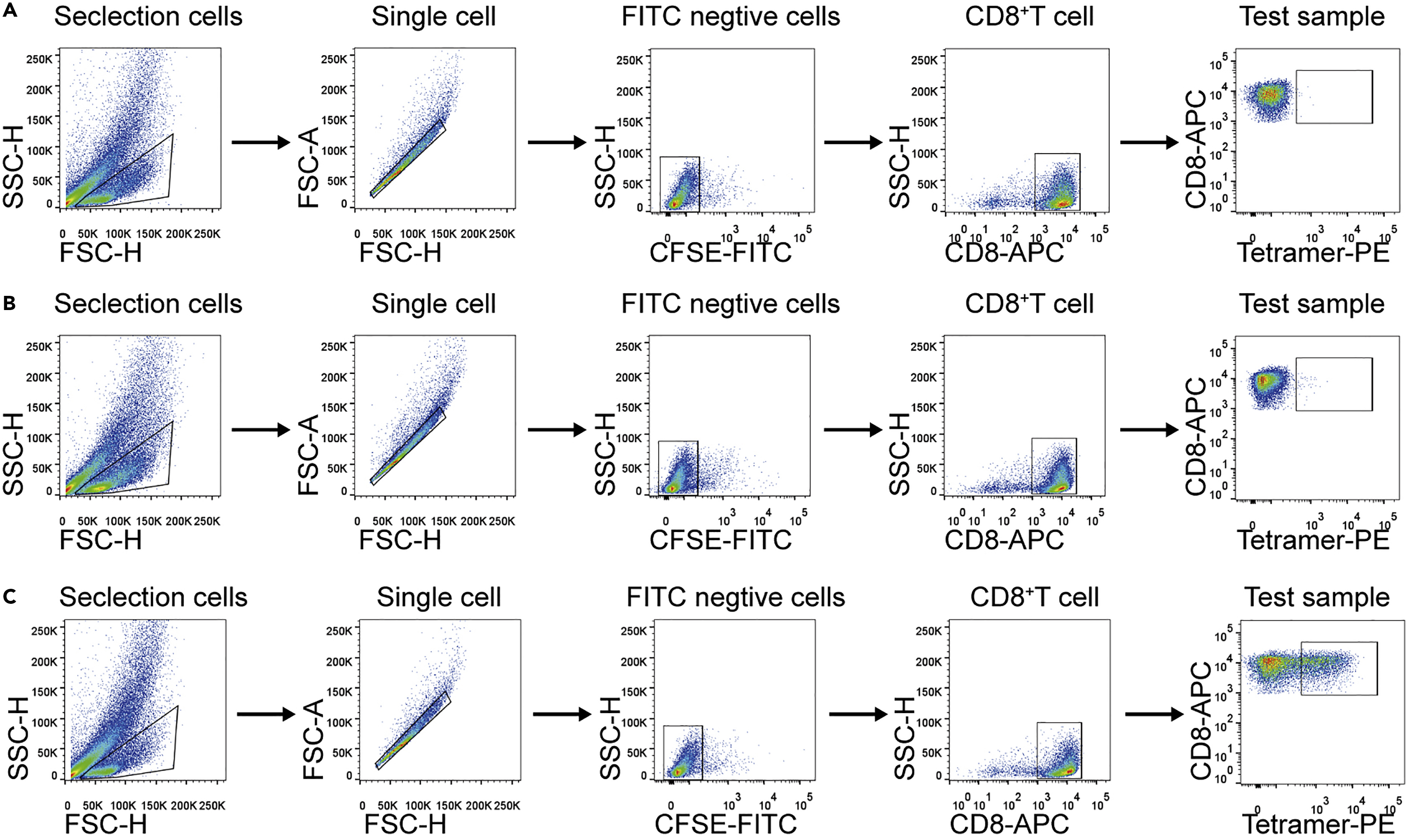 Cell Press: STAR Protocols