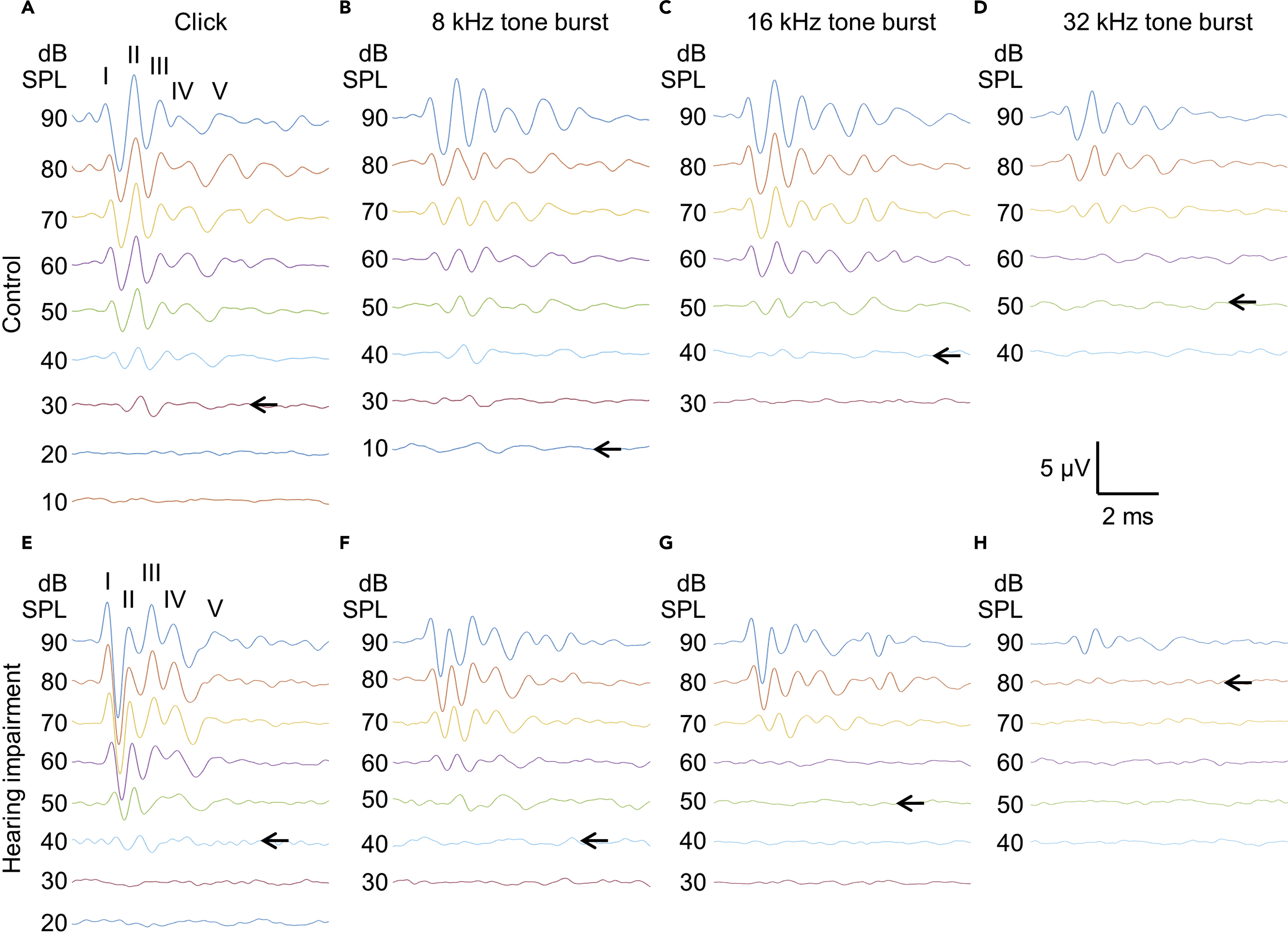 Cell Press: STAR Protocols
