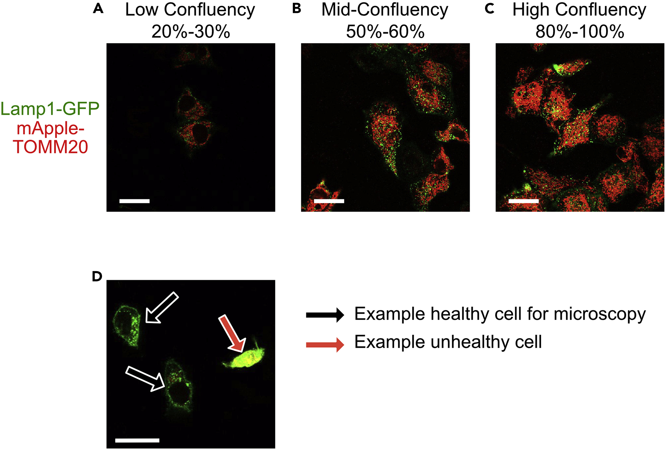 Cell Press: STAR Protocols