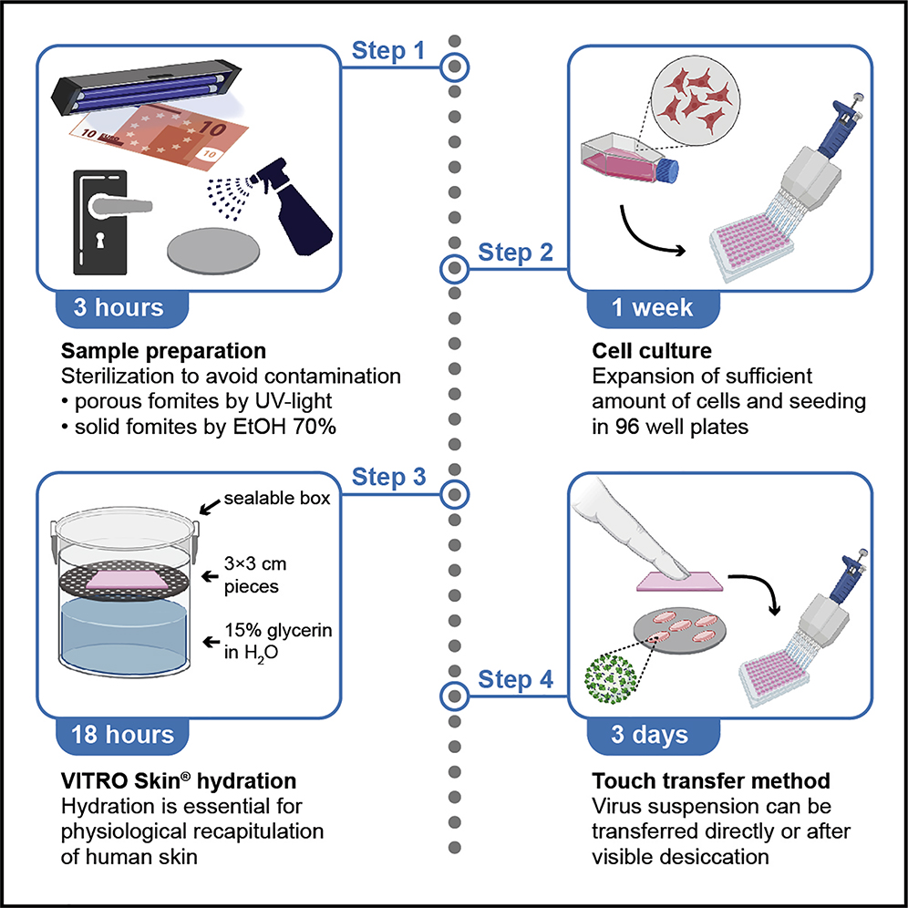 Cell Press: STAR Protocols