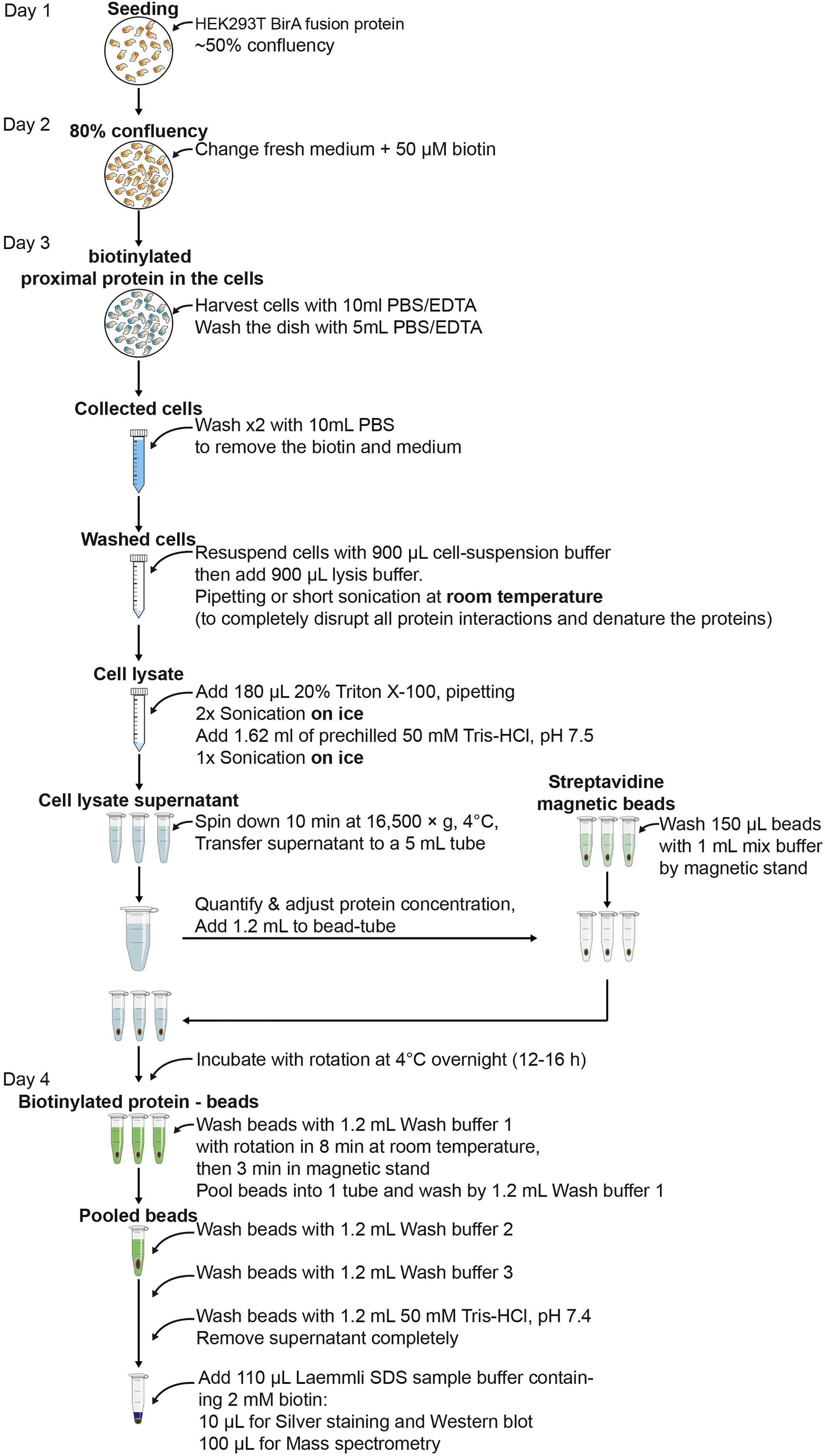 Cell Press: STAR Protocols