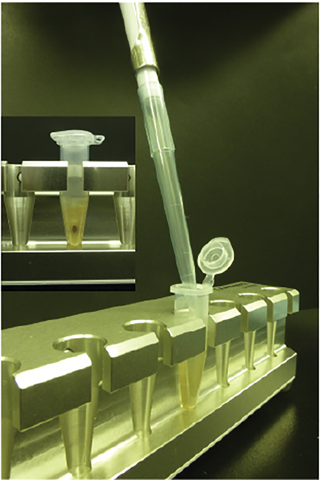 Cell Press: STAR Protocols