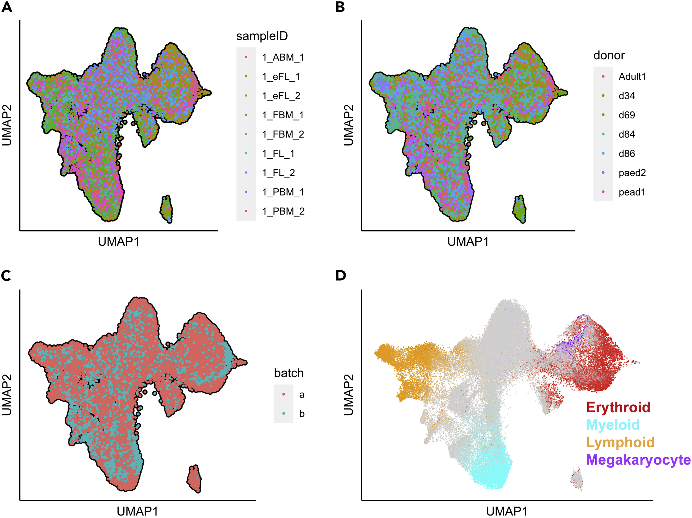 Cell Press: STAR Protocols