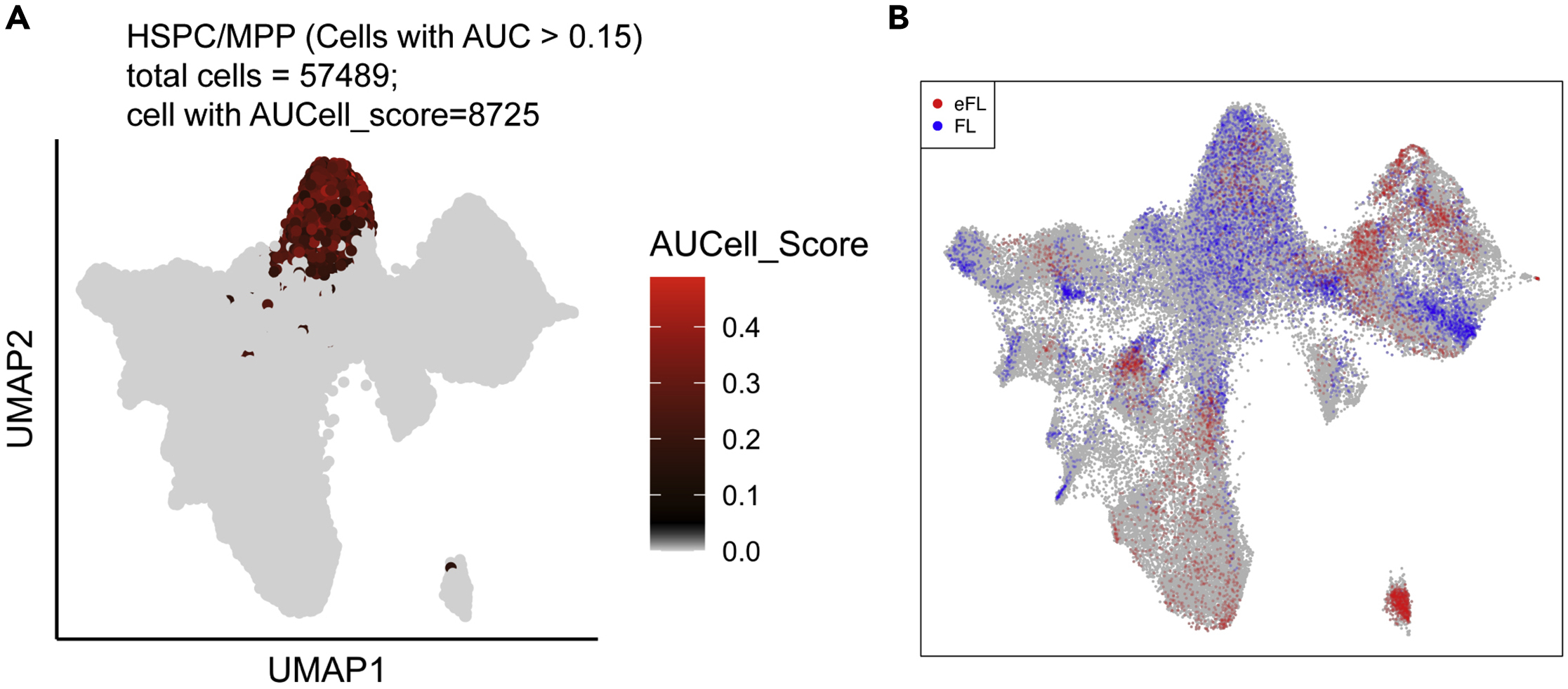 Cell Press: STAR Protocols