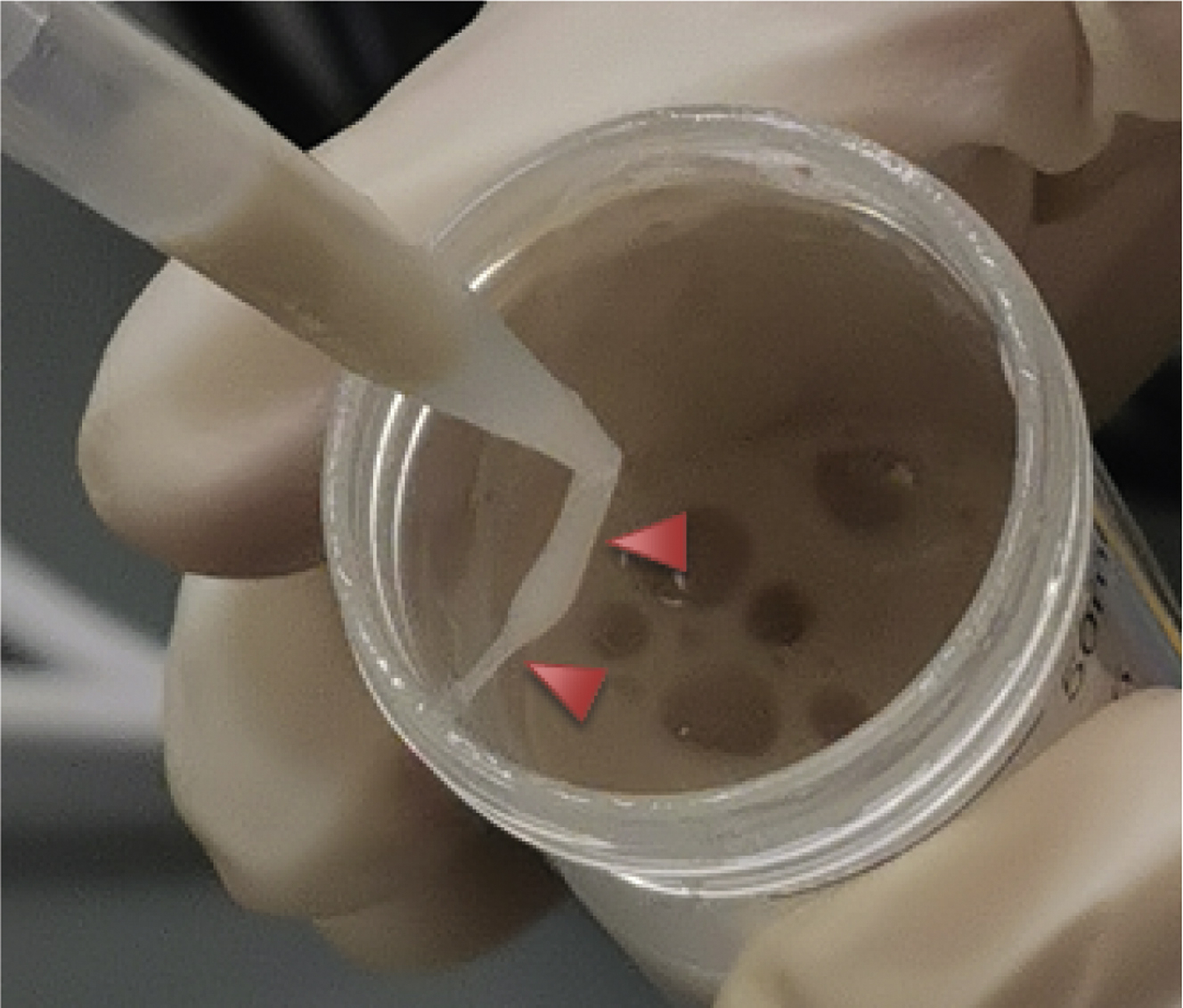 Cell Press: STAR Protocols