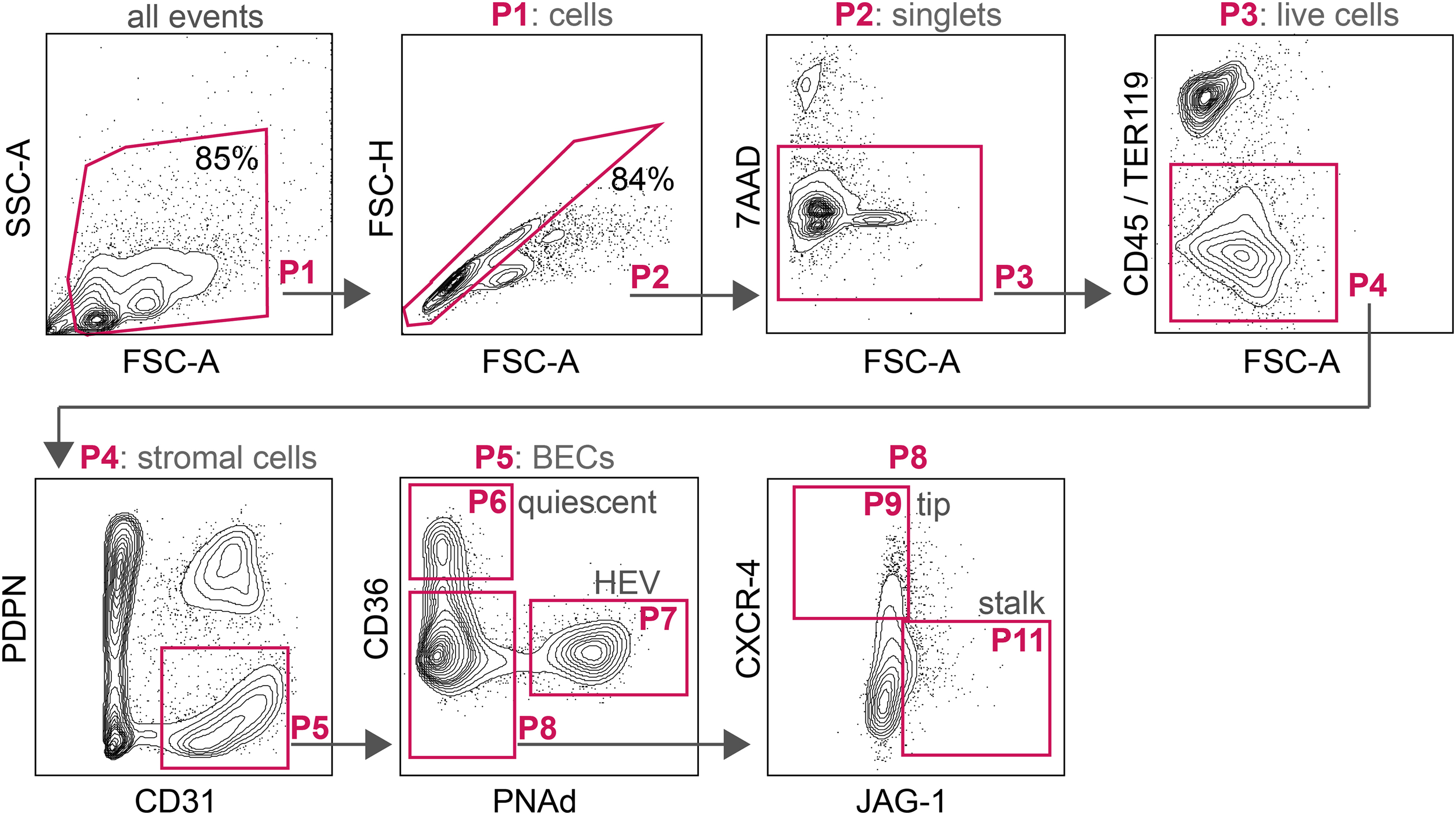 Cell Press: STAR Protocols