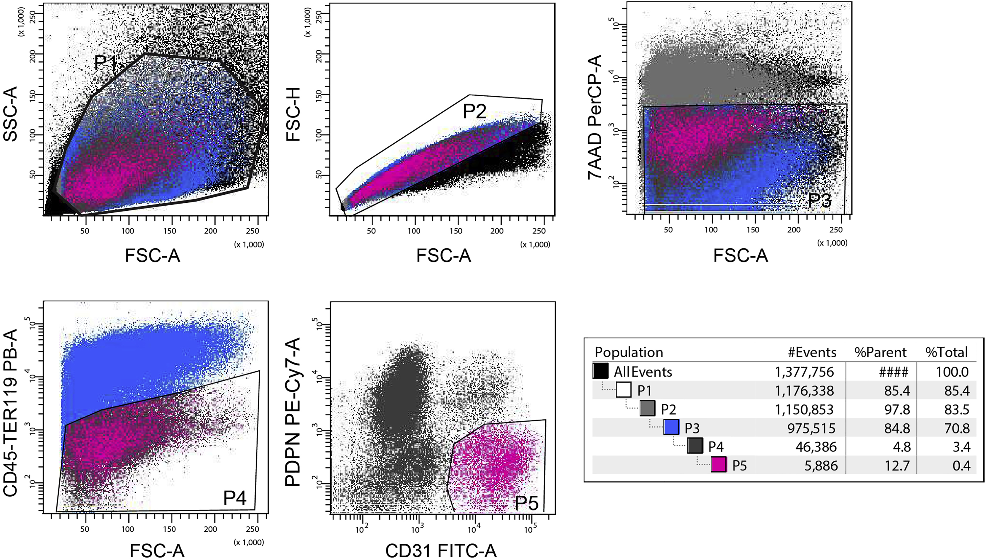 Cell Press: STAR Protocols