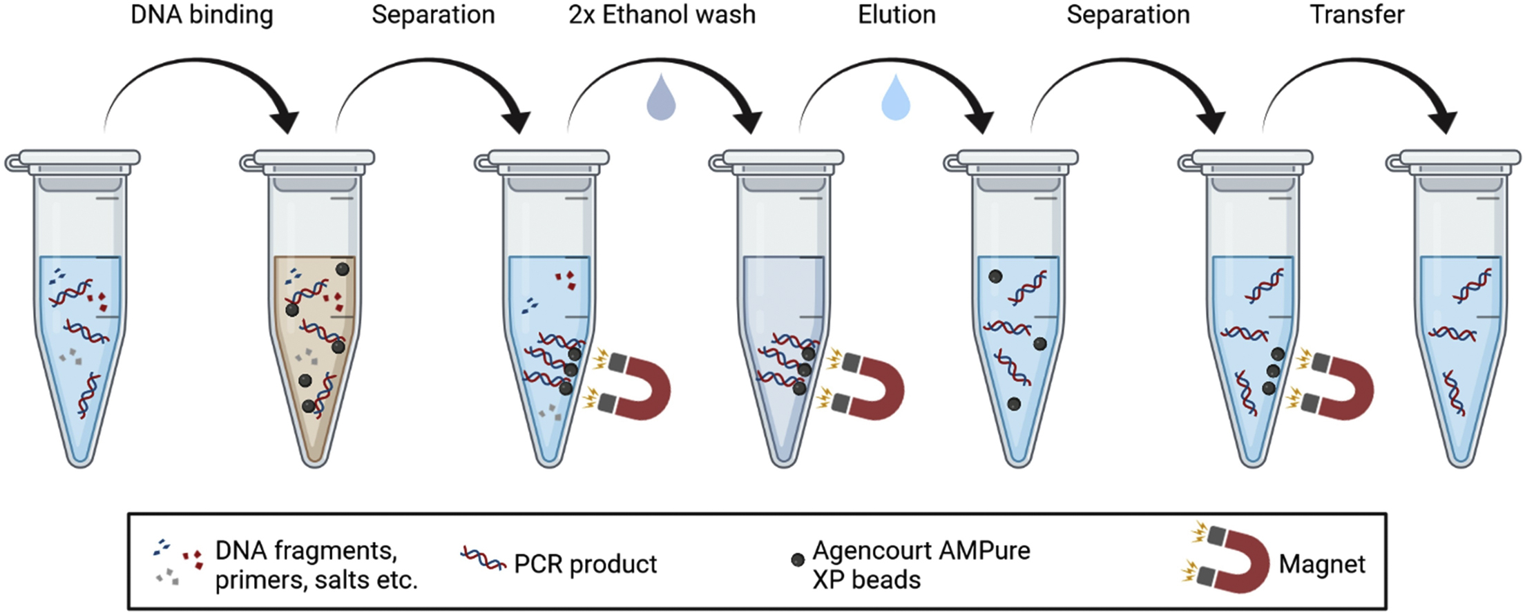 Cell Press: STAR Protocols