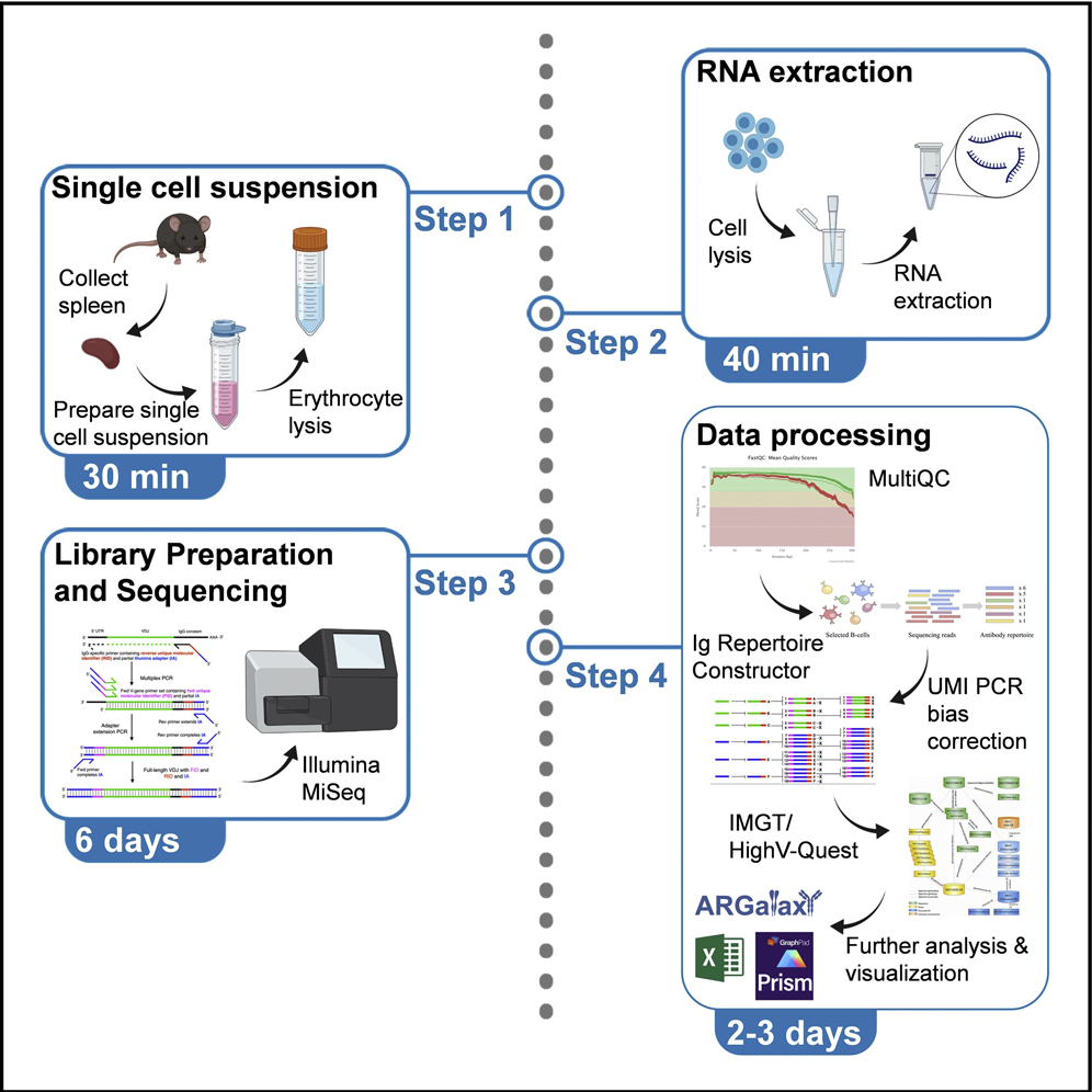 Cell Press: STAR Protocols