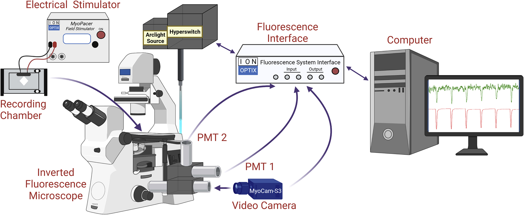 Cell Press: STAR Protocols