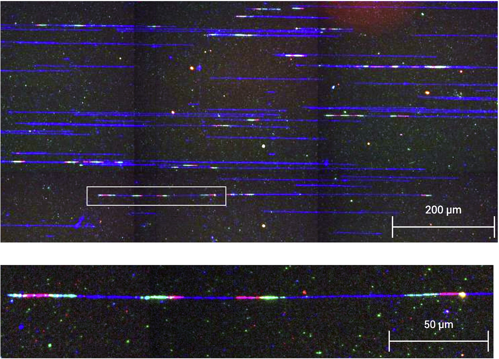 Cell Press: STAR Protocols