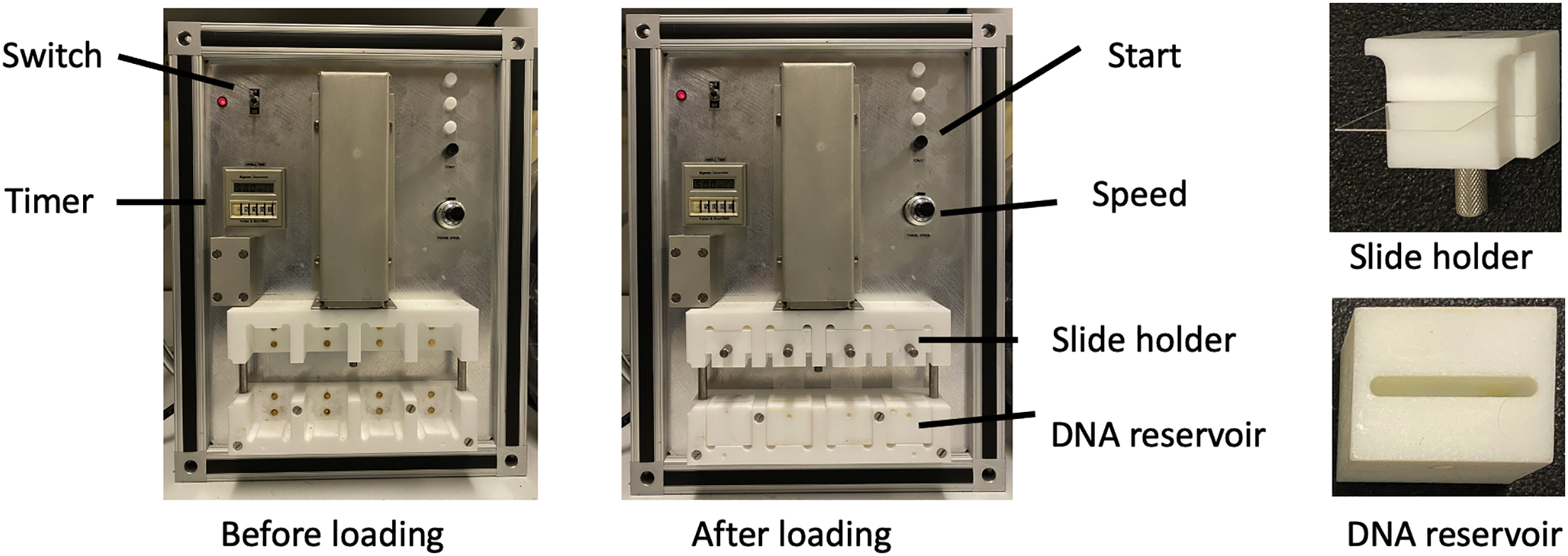 Cell Press: STAR Protocols