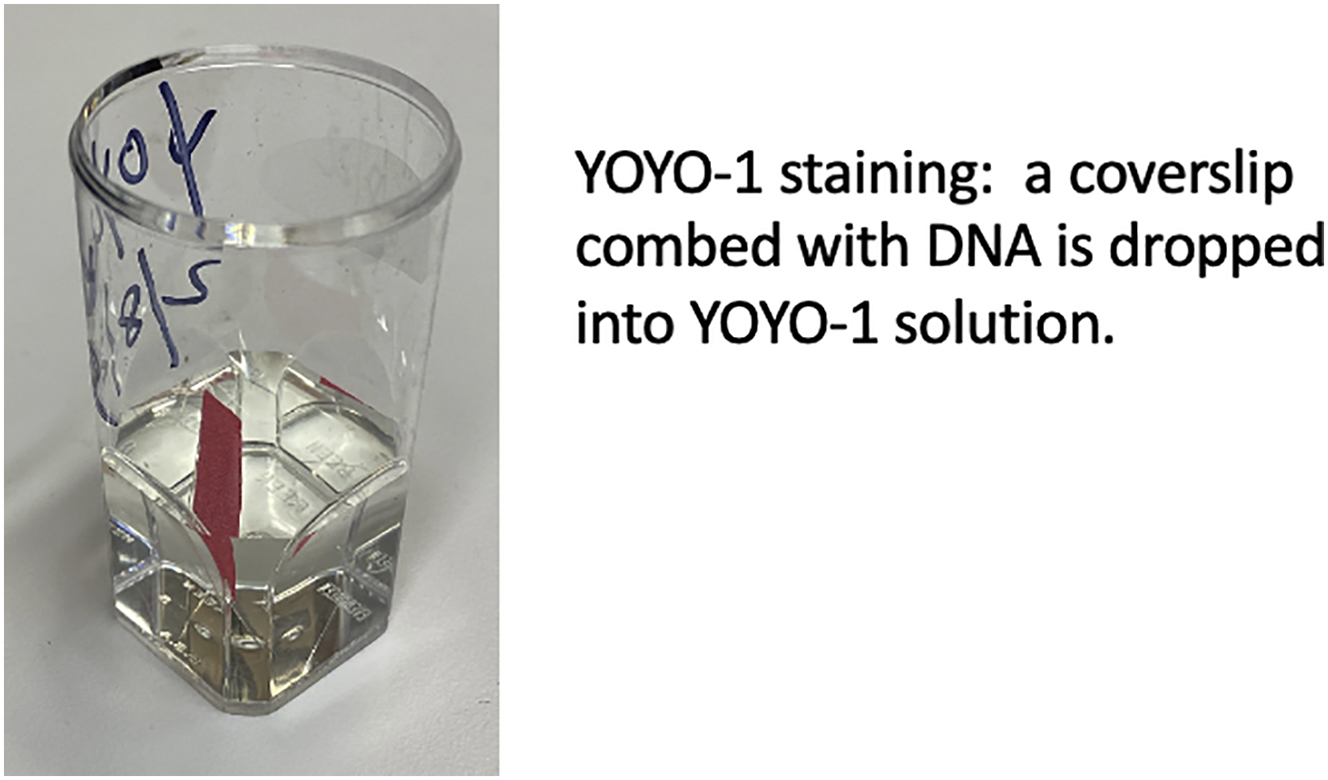 Cell Press: STAR Protocols