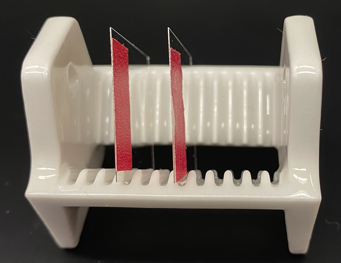Cell Press: STAR Protocols