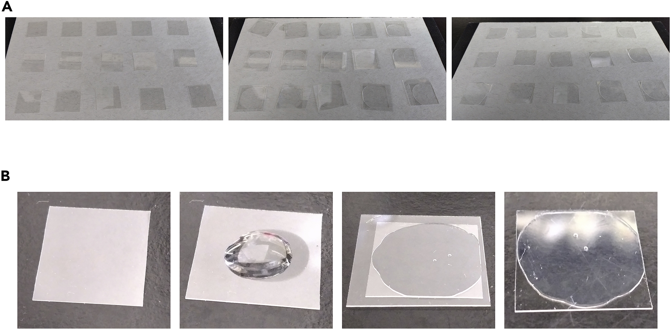 Cell Press: STAR Protocols