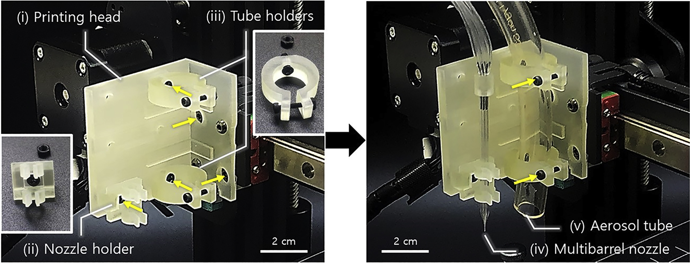 Cell Press: STAR Protocols