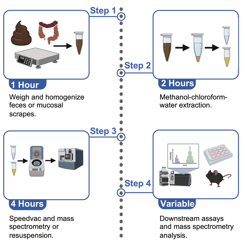 Cell Press: STAR Protocols