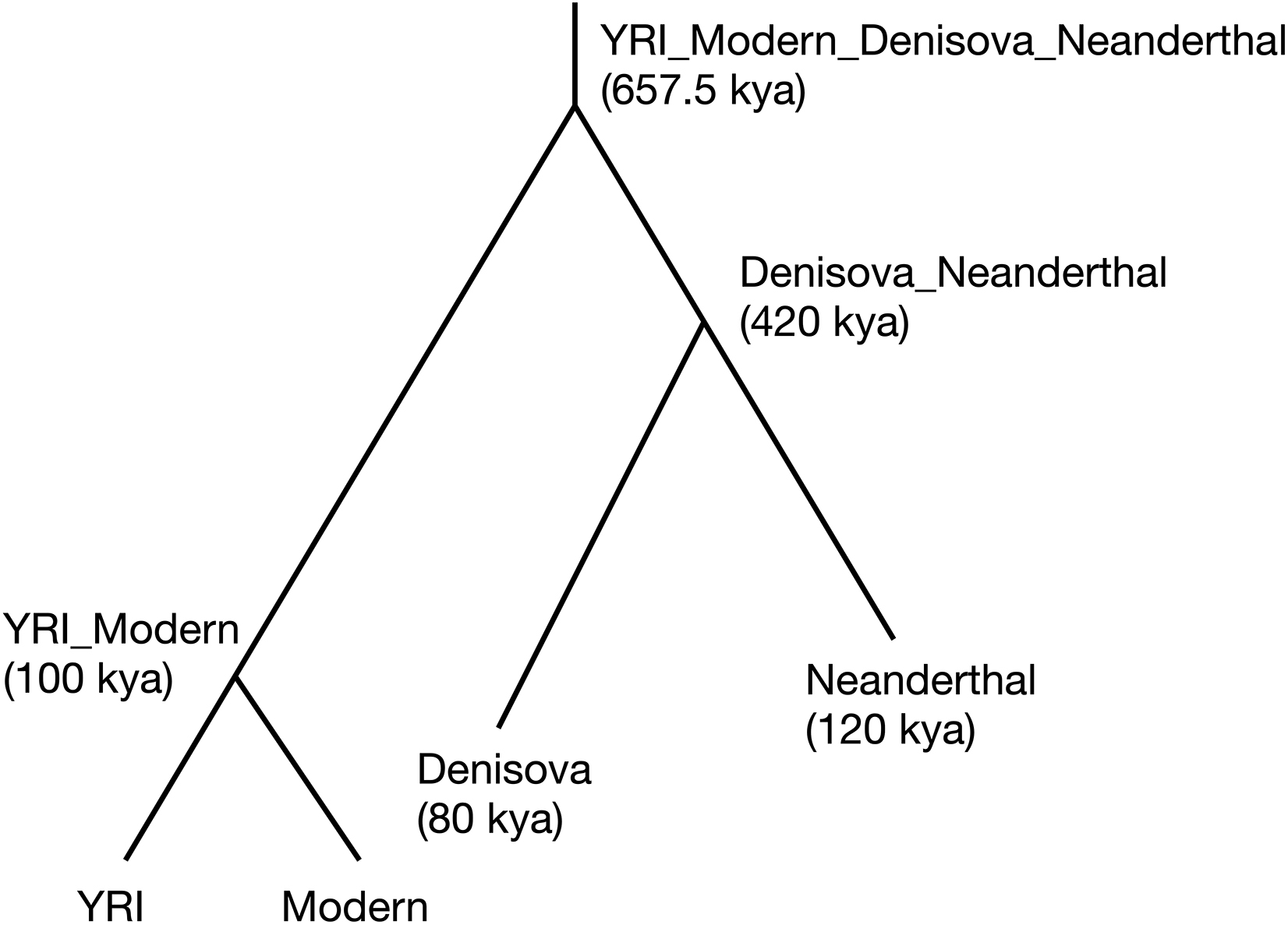 Cell Press: STAR Protocols