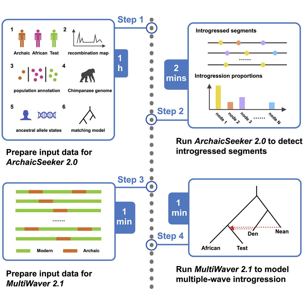 Cell Press: STAR Protocols