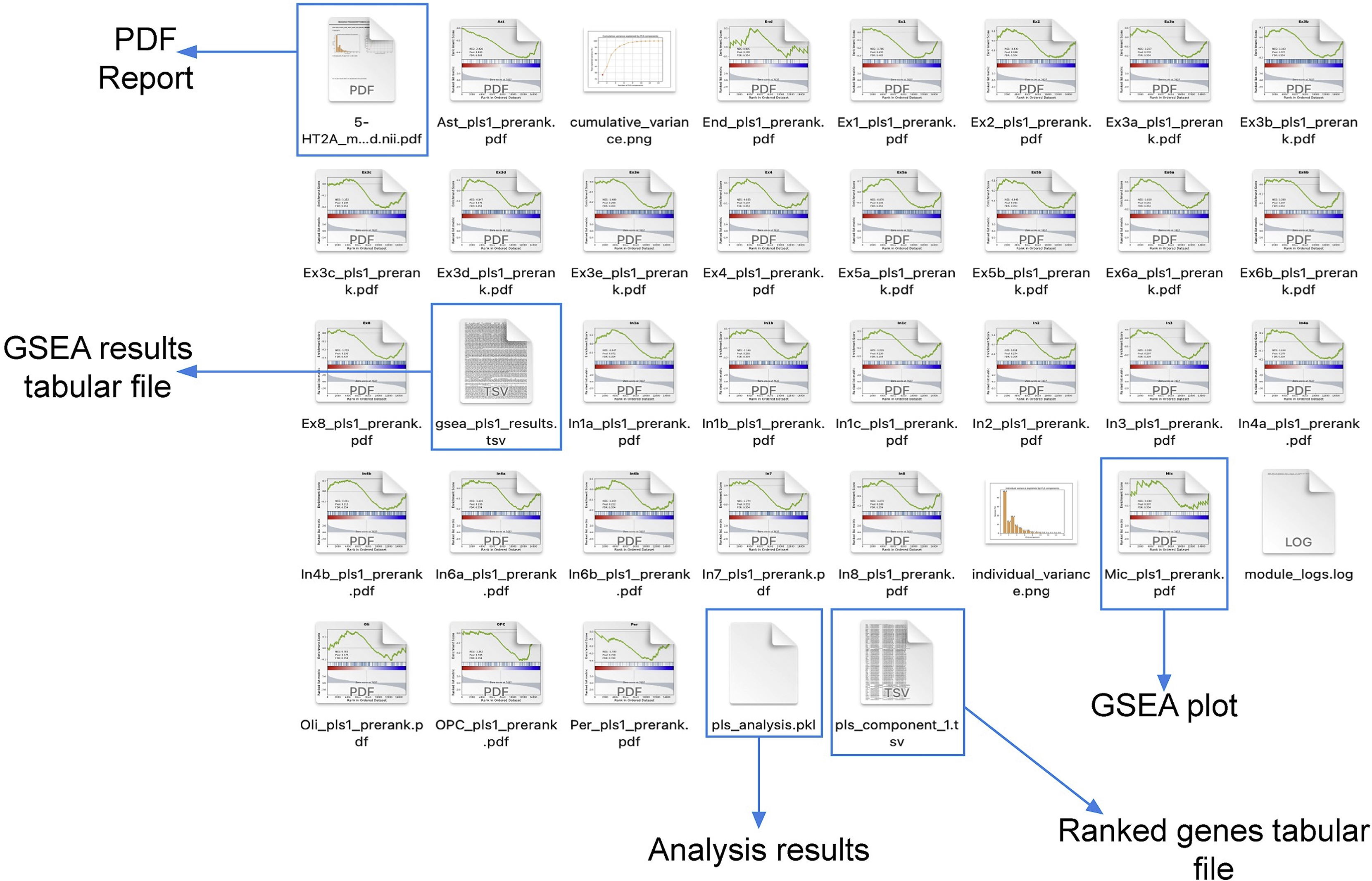 Cell Press: STAR Protocols