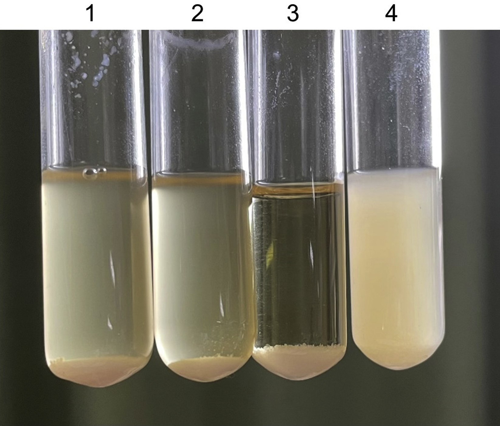 Cell Press: STAR Protocols