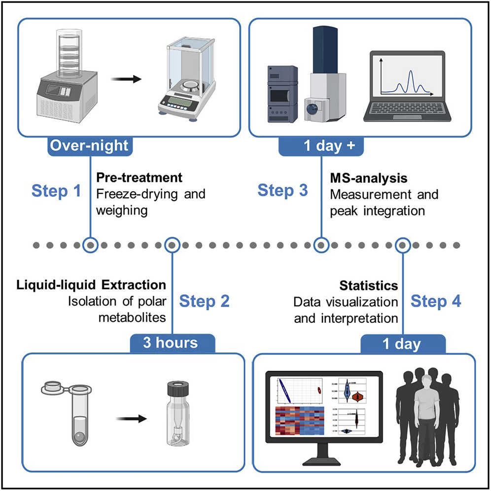 Cell Press: STAR Protocols