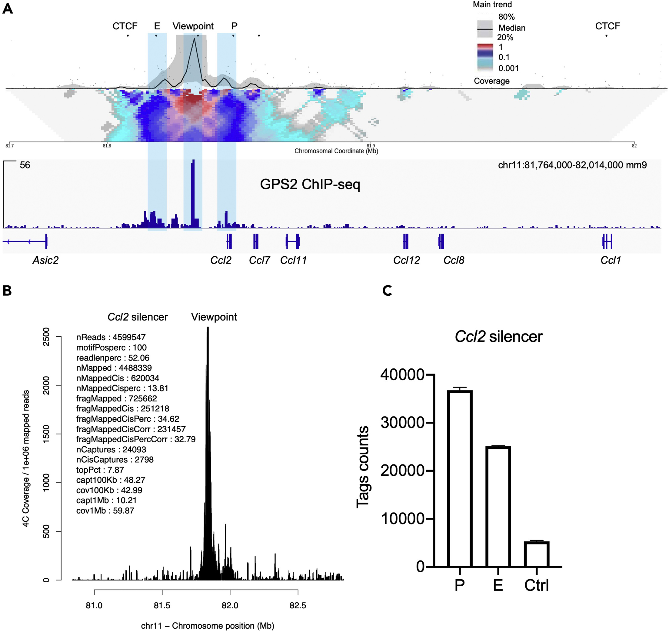 Cell Press: STAR Protocols
