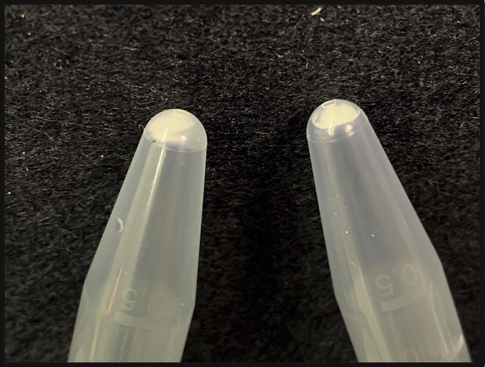 Cell Press: STAR Protocols