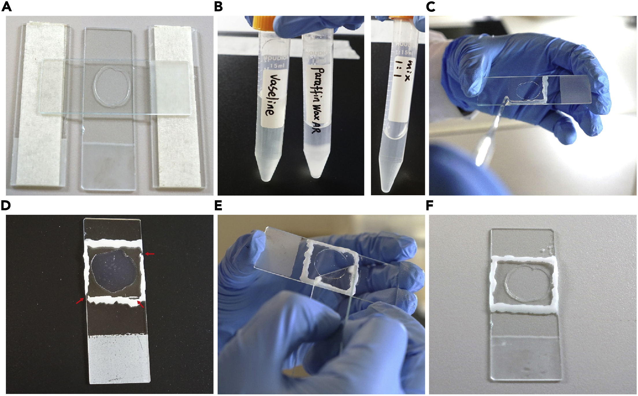 Cell Press: STAR Protocols