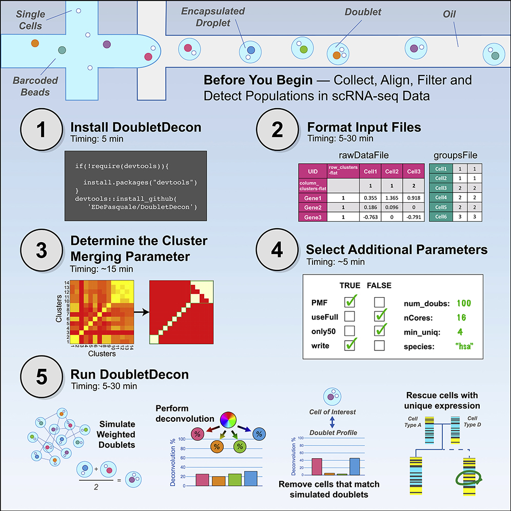 Cell Press: STAR Protocols