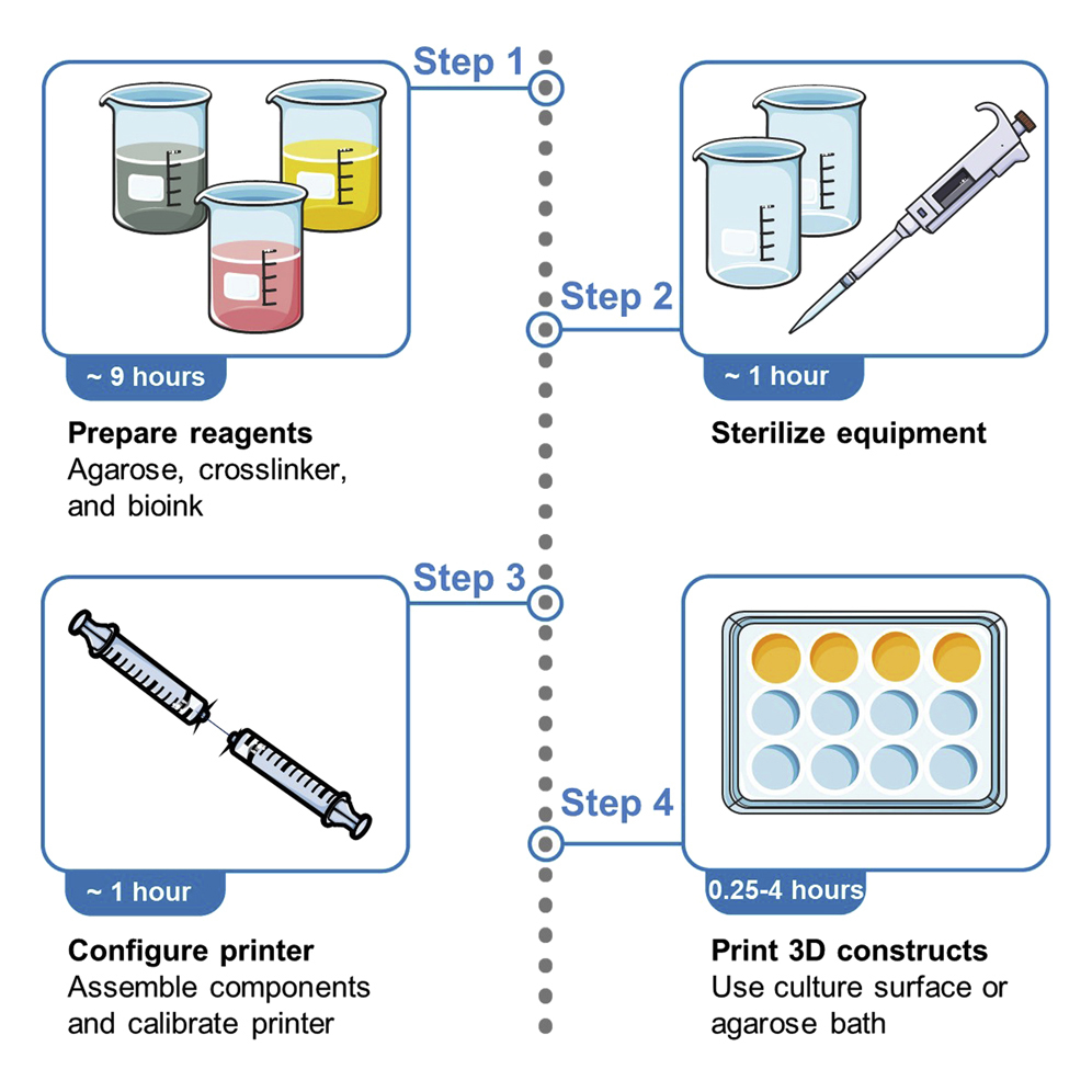 Cell Press: STAR Protocols